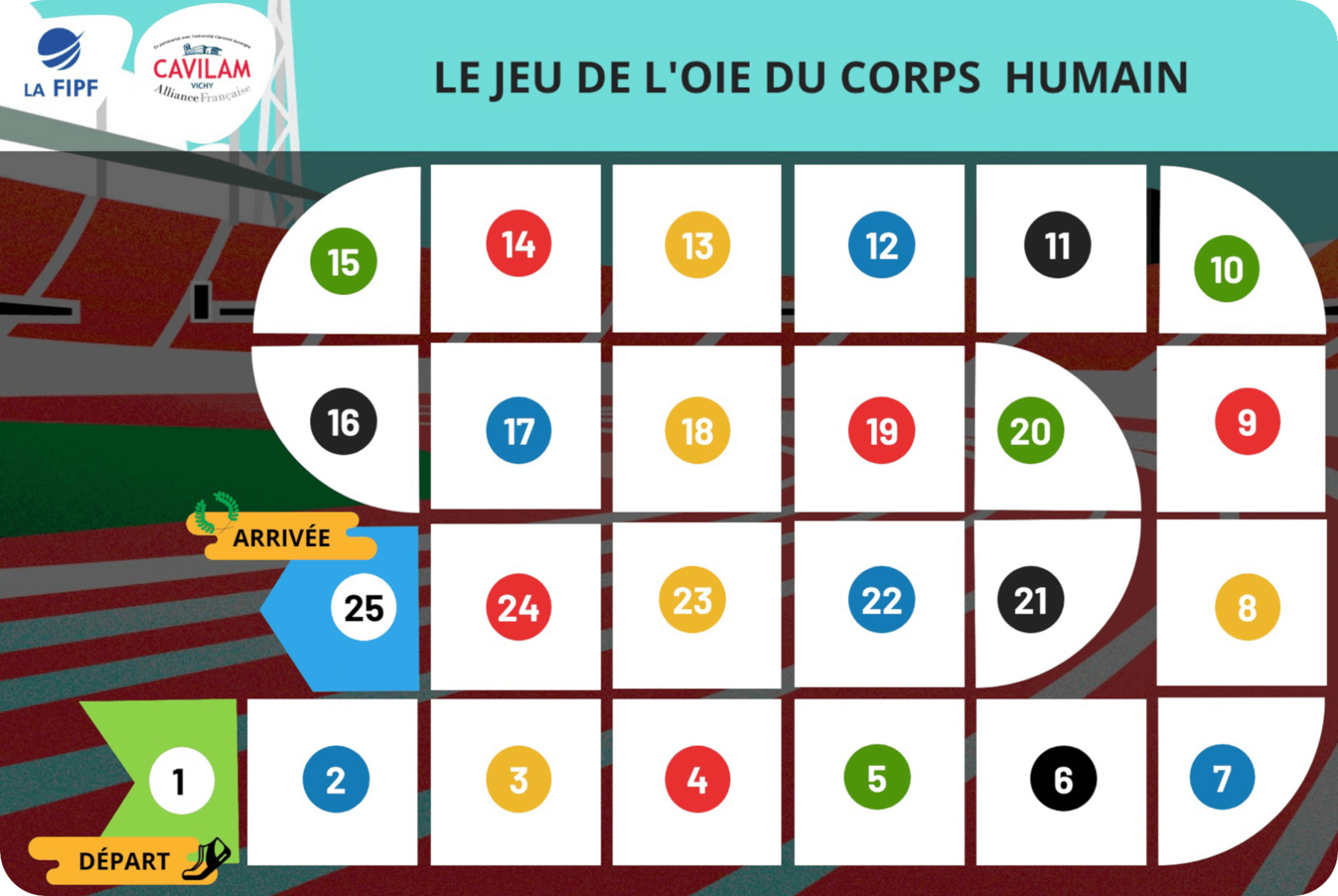 Le corps humain - OLYMP'KIT